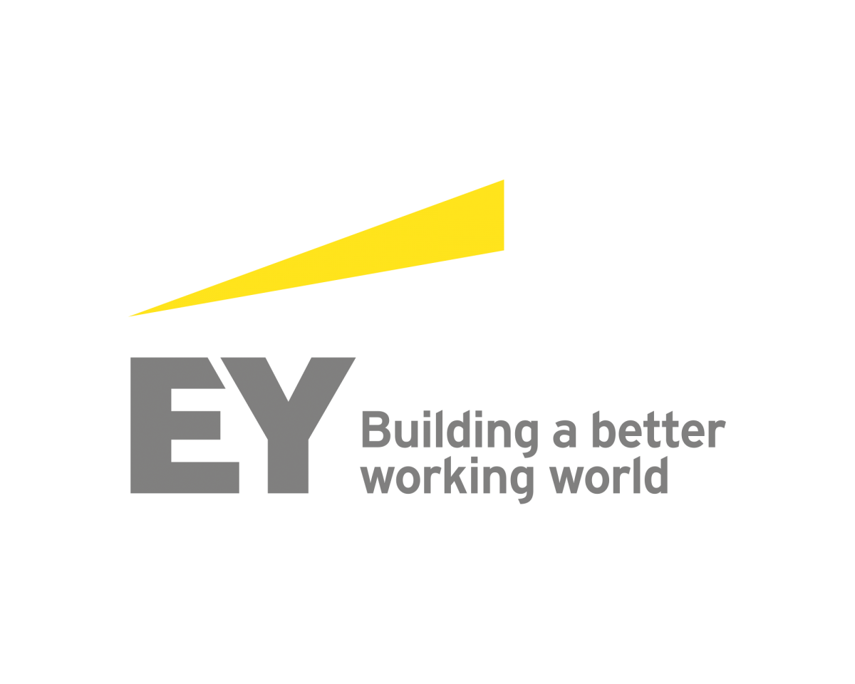 David Williams Partner, EY